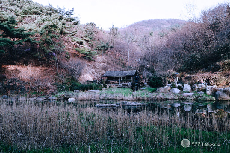 Korea 2024: Chill Moments at Cafe Pokpo by the Falls – hellosihui